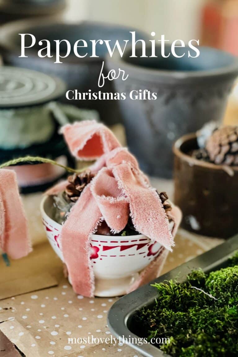 Creative Ways to Gift Paperwhite Narcissus | Most Lovely Things