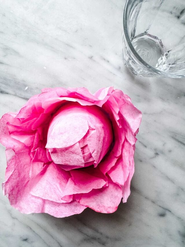 How to Make Beautiful Flowers Using Coffee Filters | Most Lovely Things