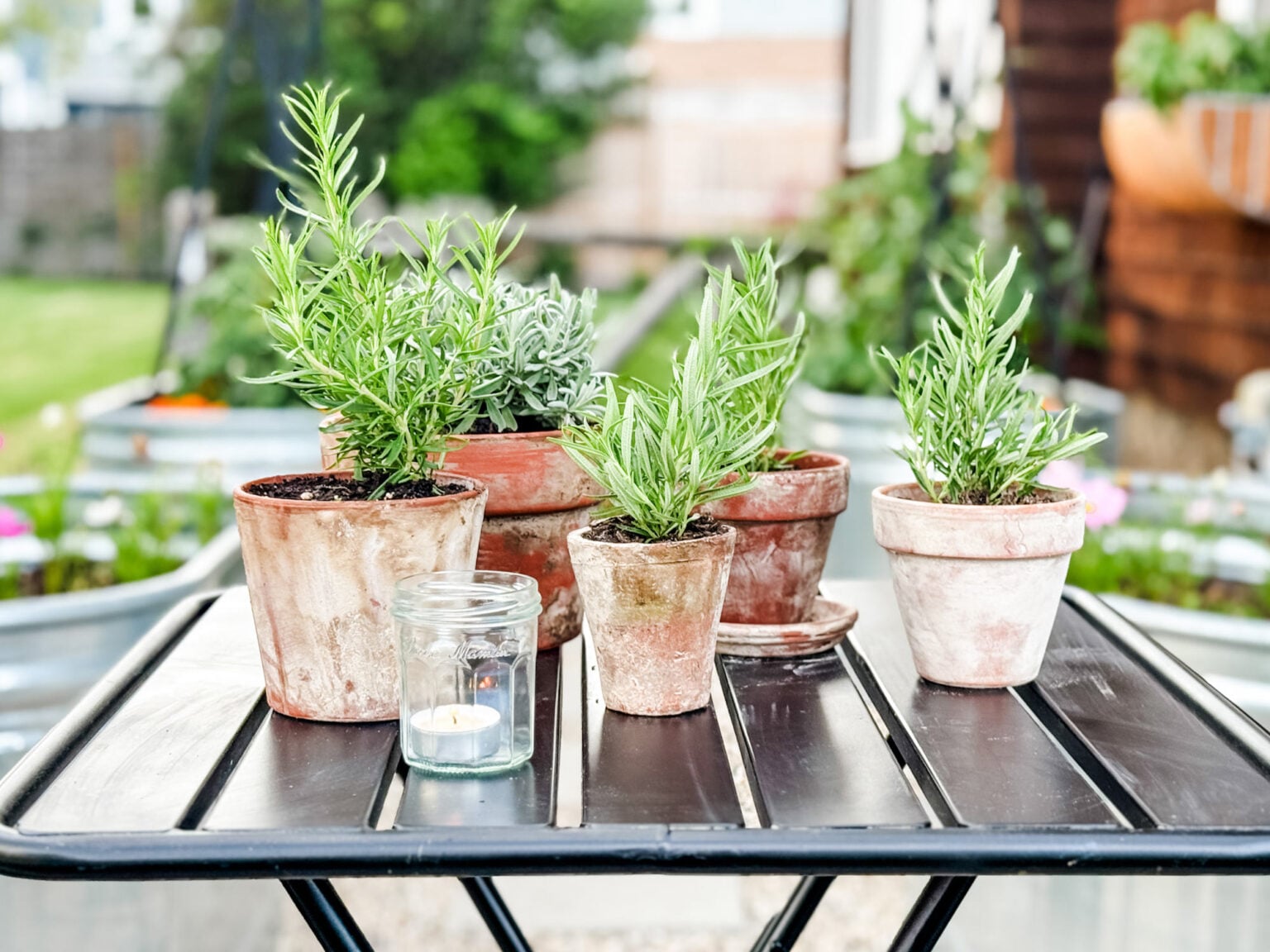 How to Make Your Terra Cotta Pots Look Old Instantly | Most Lovely Things