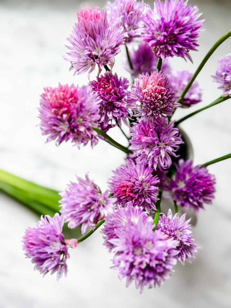 Make Easy Homemade Chive Blossom Butter | Most Lovely Things