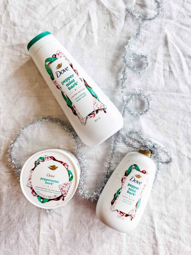 A Simple Holiday Gift Box Idea Inspired by the Dove Holiday Treats ...